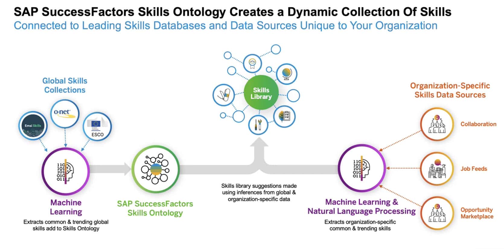 SuccessFactors Leapfrogs HCM Capabilities: AI, Skills, Talent Intelligence, And More – JOSH BERSIN